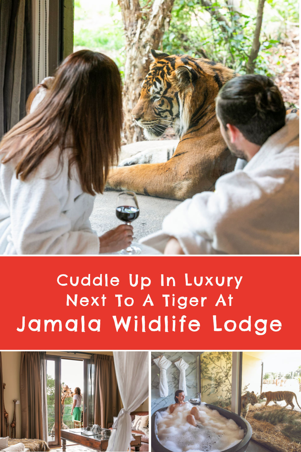 Jamala Wildlife Lodge - Cuddle Up in Luxury Next to a Tiger