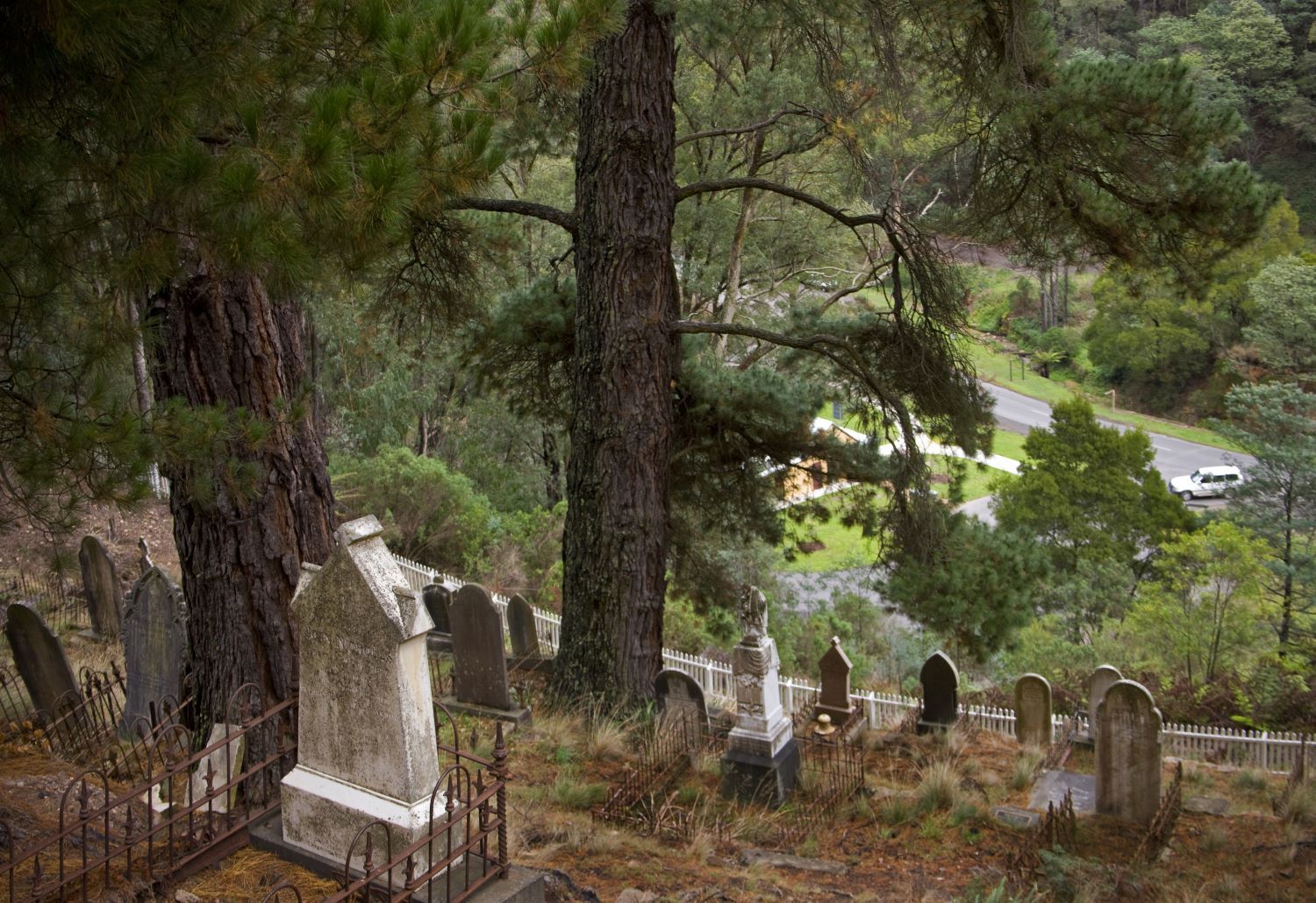 Spotlight on the best things to do in Walhalla