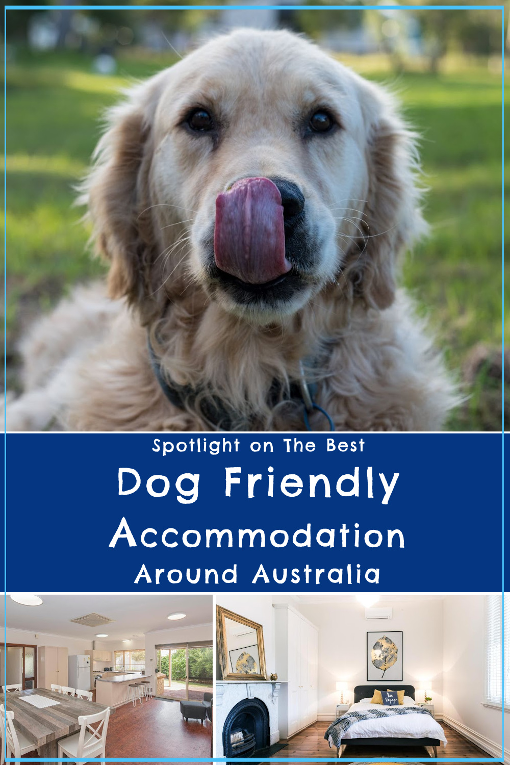 Spotlight on the best dog friendly accommodation around Australia