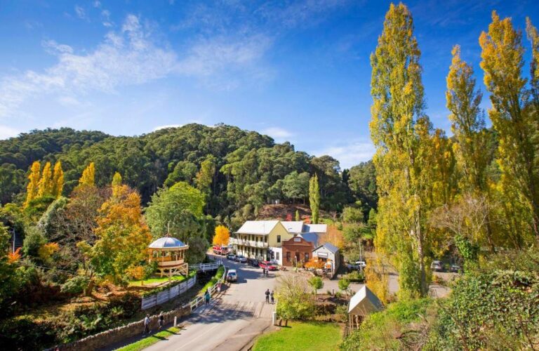Spotlight on the best things to do in Walhalla
