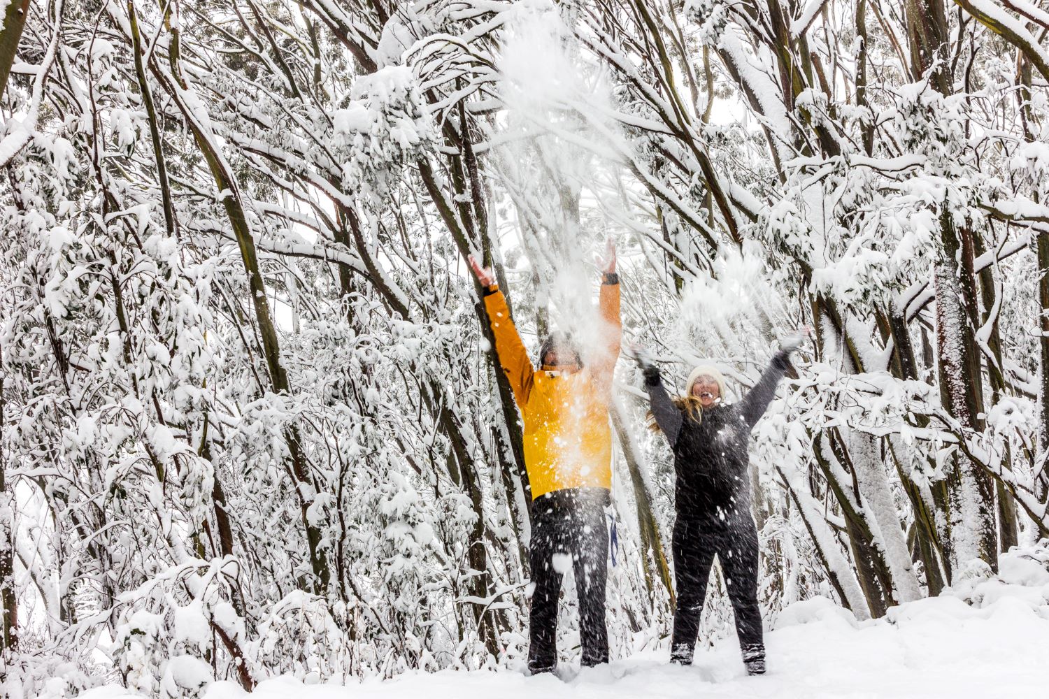 Mt Baw Baw - It's snow much fun for families