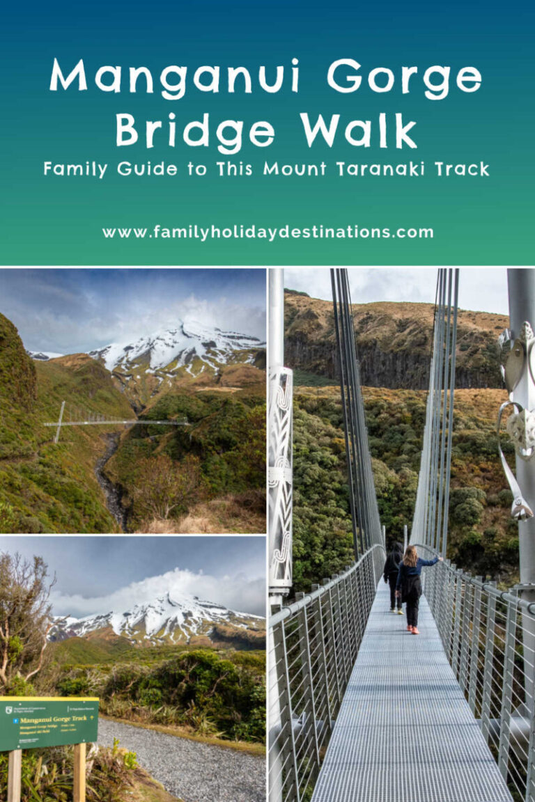 Manganui Gorge Bridge Walk: Family Guide